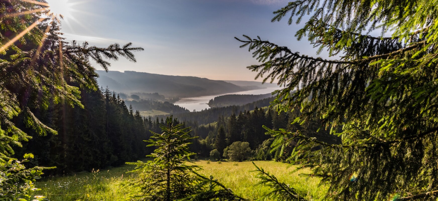Sommer am Feldberg » Top Urlaub im Schwarzwald erleben ...